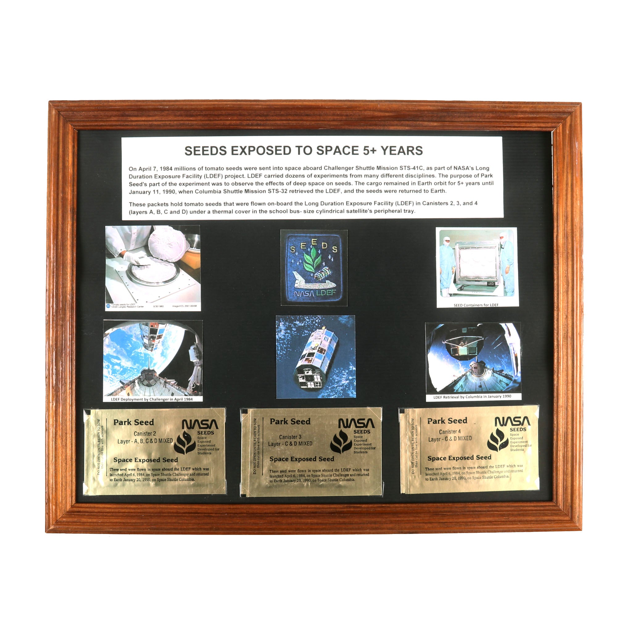 Original U.S. NASA 1984 LDEF Framed Group of 5 Seed Packets Exposed to ...