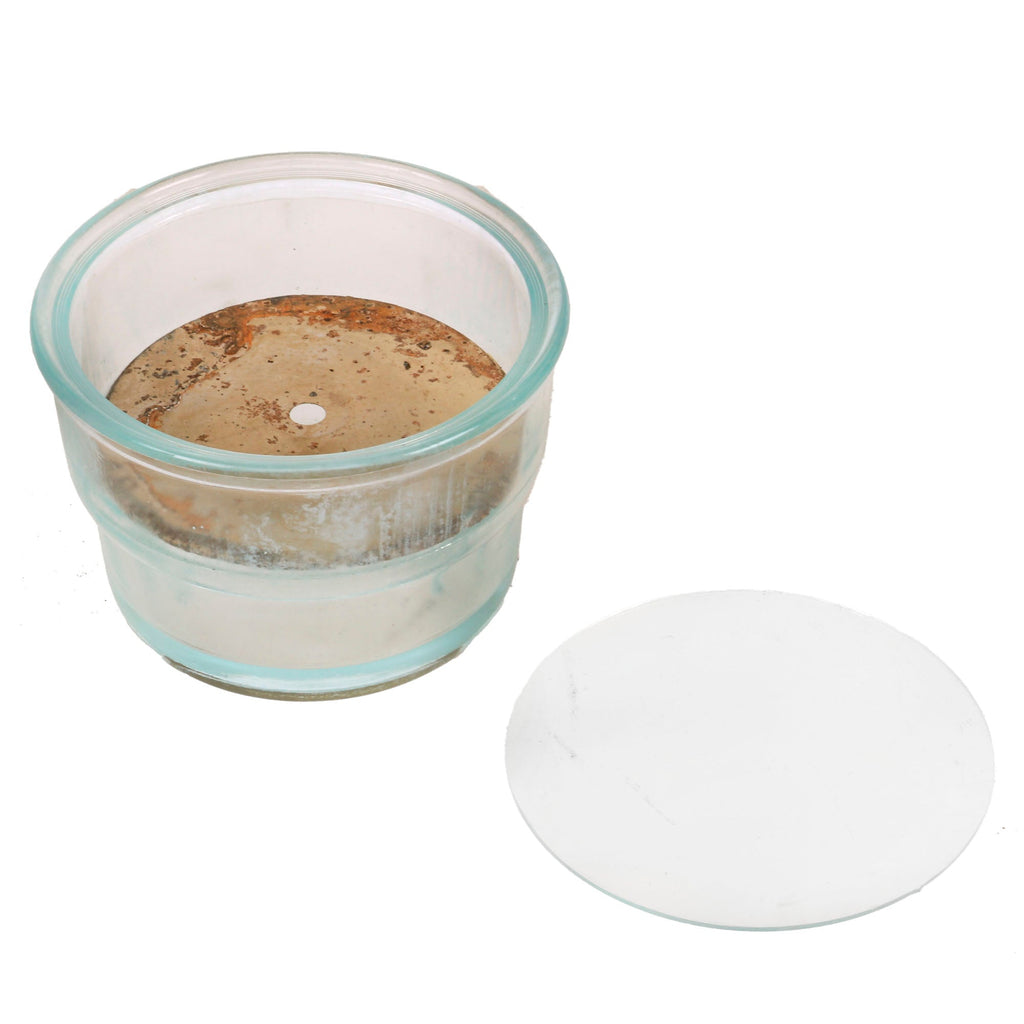 Original WWII German Inert Glass Mine with Sheet Steel Disc & Thin Gla ...