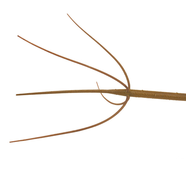 Original U.S. Vietnam War Era Operation Igloo White Seismic Sensor ADS ...