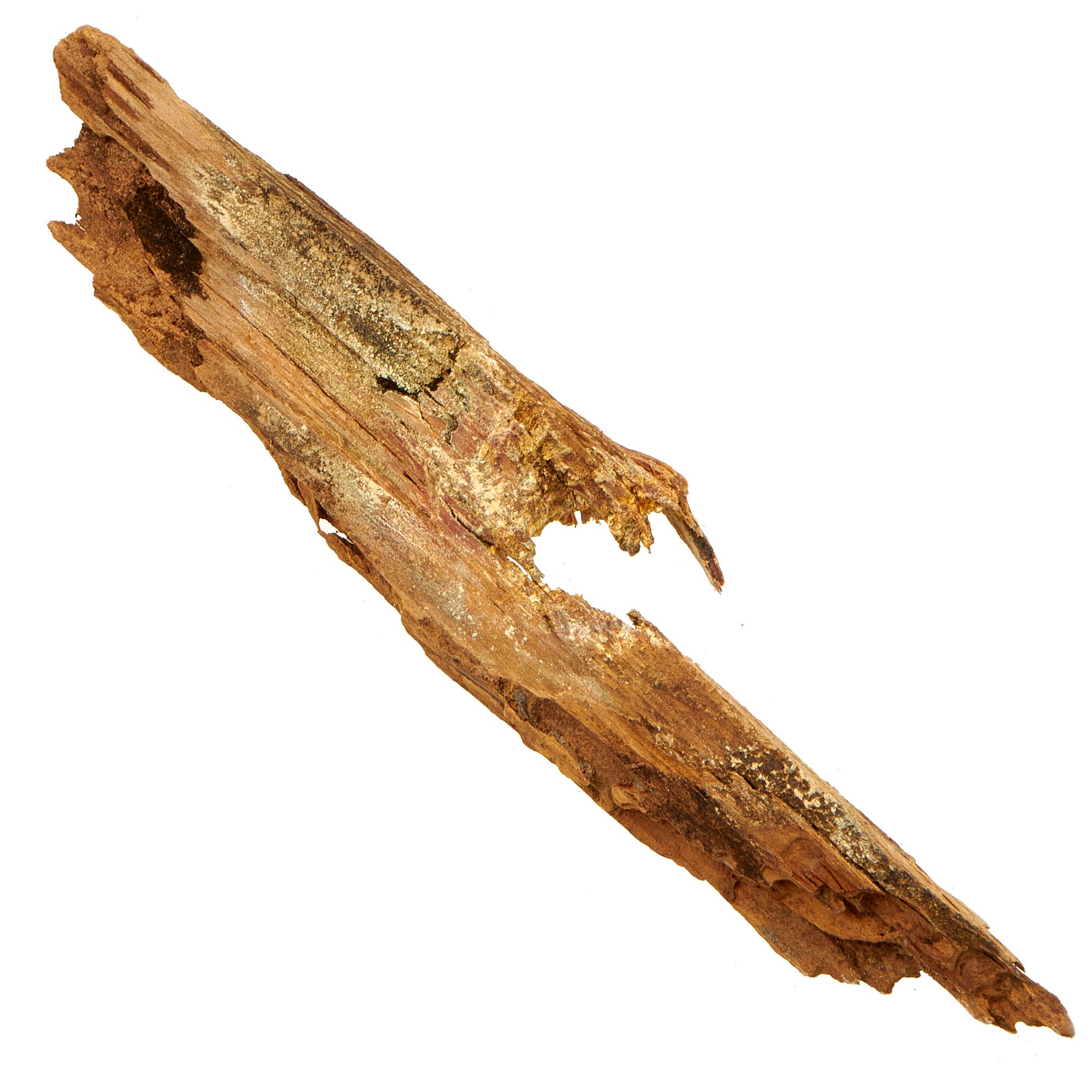 Original U.S. Civil War Era Battle of Gettysburg Area Recovered “Bulle ...