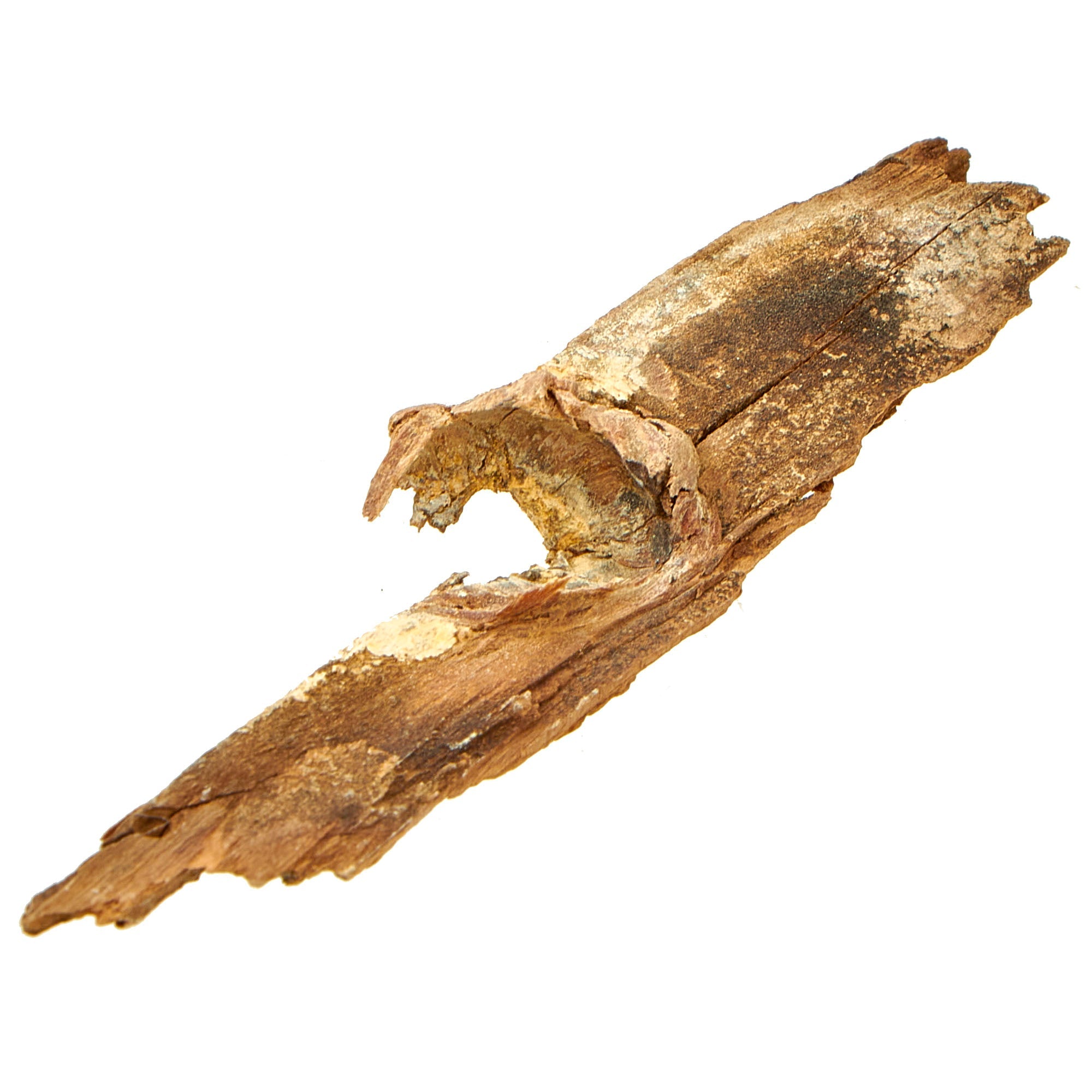 Original U.S. Civil War Era Battle of Gettysburg Area Recovered “Bulle ...