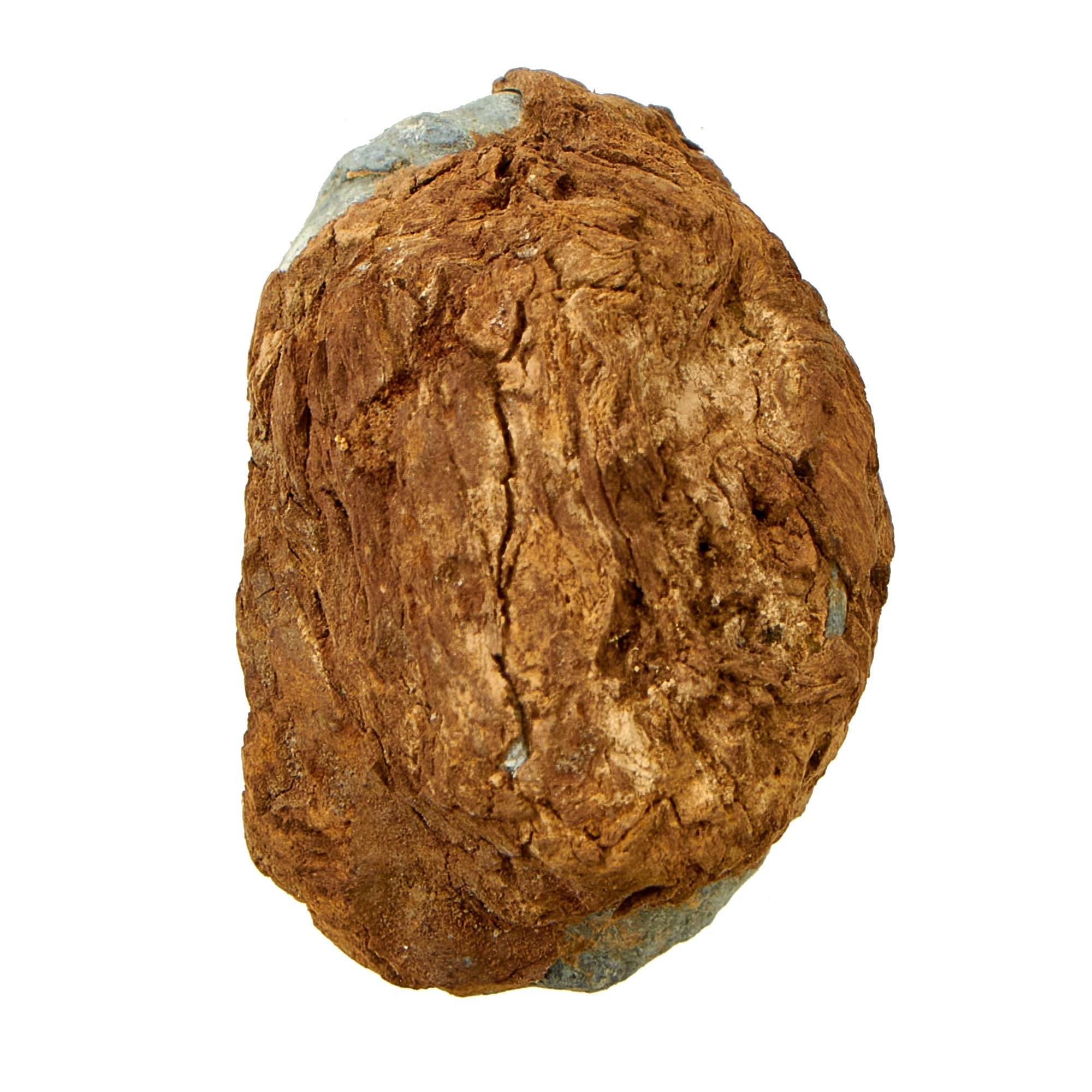 Original U.S. Civil War Era Battle of Gettysburg Area Recovered “Bulle ...