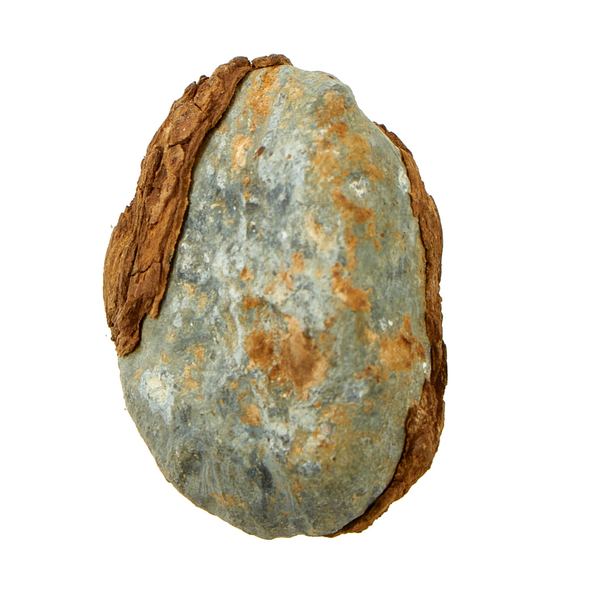 Original U.S. Civil War Era Battle of Gettysburg Area Recovered “Bulle ...
