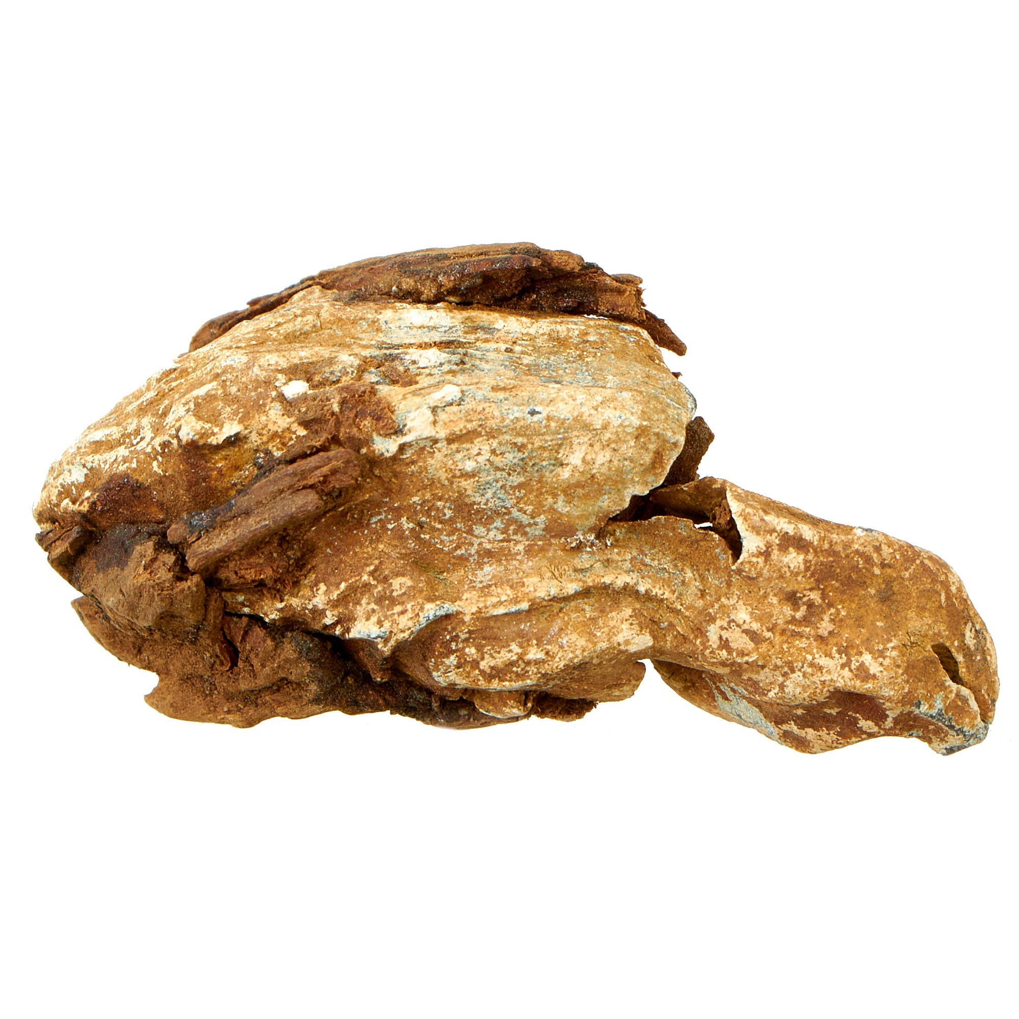 Original U.S. Civil War Era Battle of Gettysburg Area Recovered “Bulle ...