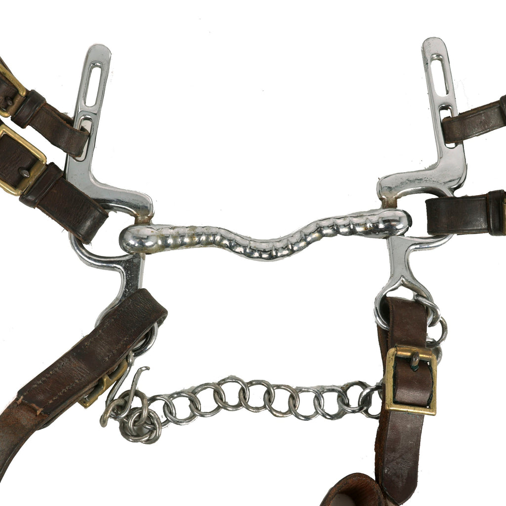Original Australian WWI Light Horse Cavalry Horse Tack and Bridle Set ...