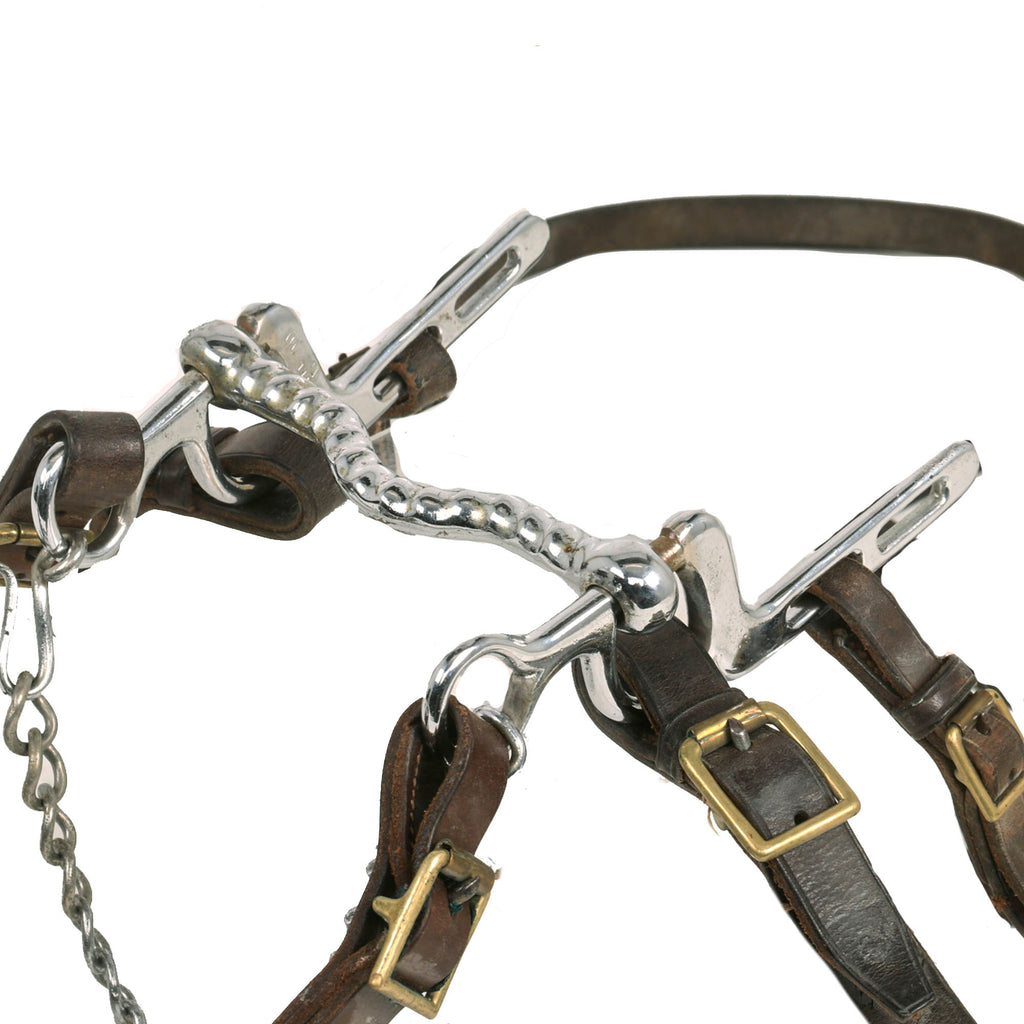 Original Australian WWI Light Horse Cavalry Horse Tack and Bridle Set ...