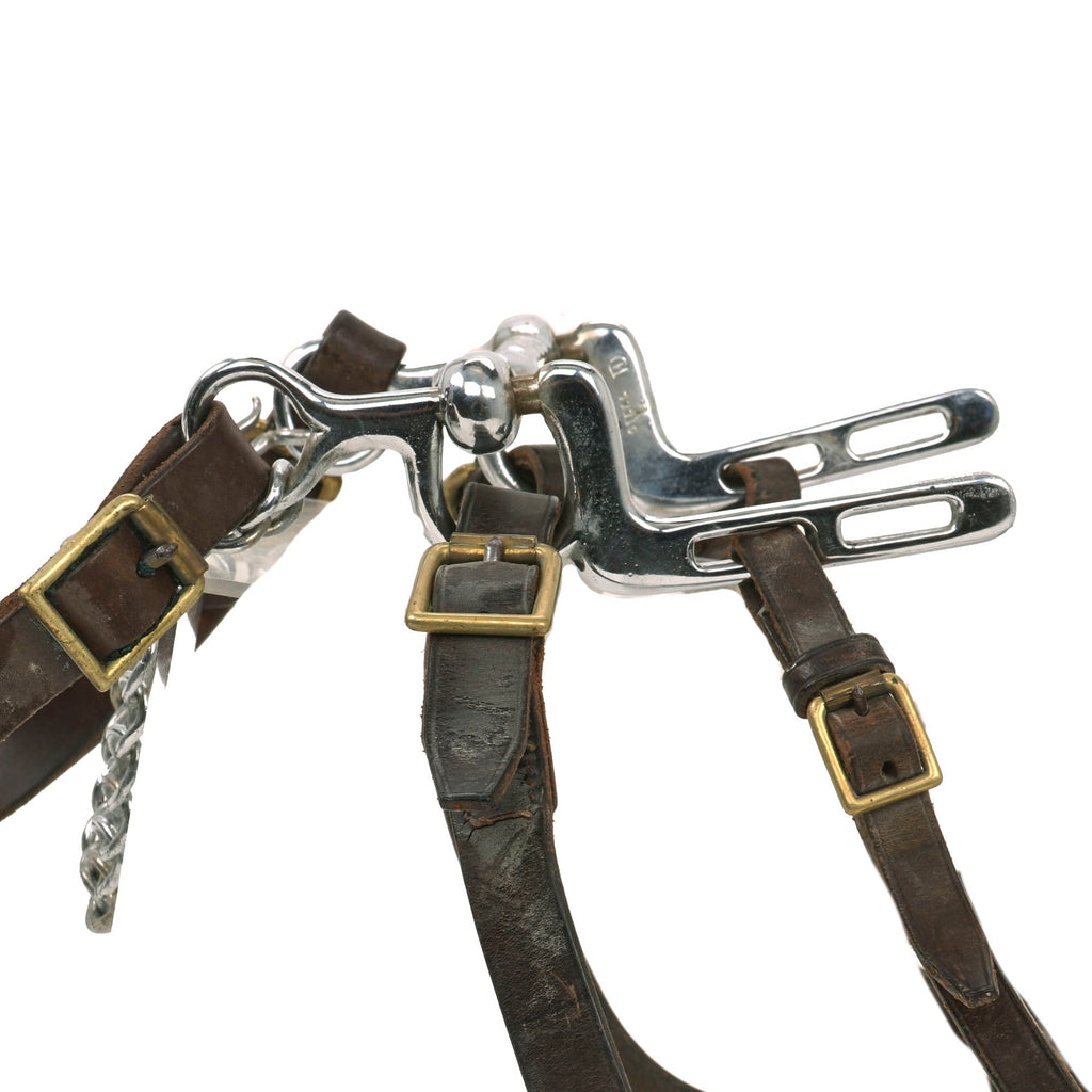 Original Australian WWI Light Horse Cavalry Horse Tack and Bridle Set ...