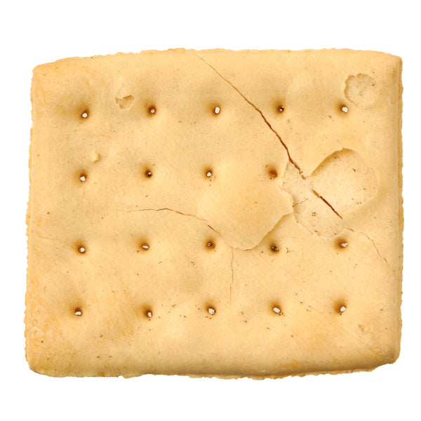 Original U.S. Civil War Piece of Hardtack in Good Condition ...
