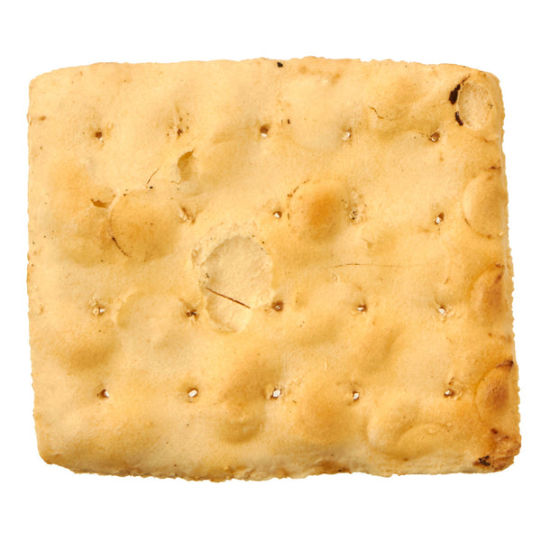 Original U.S. Civil War Piece of Hardtack in Good Condition ...
