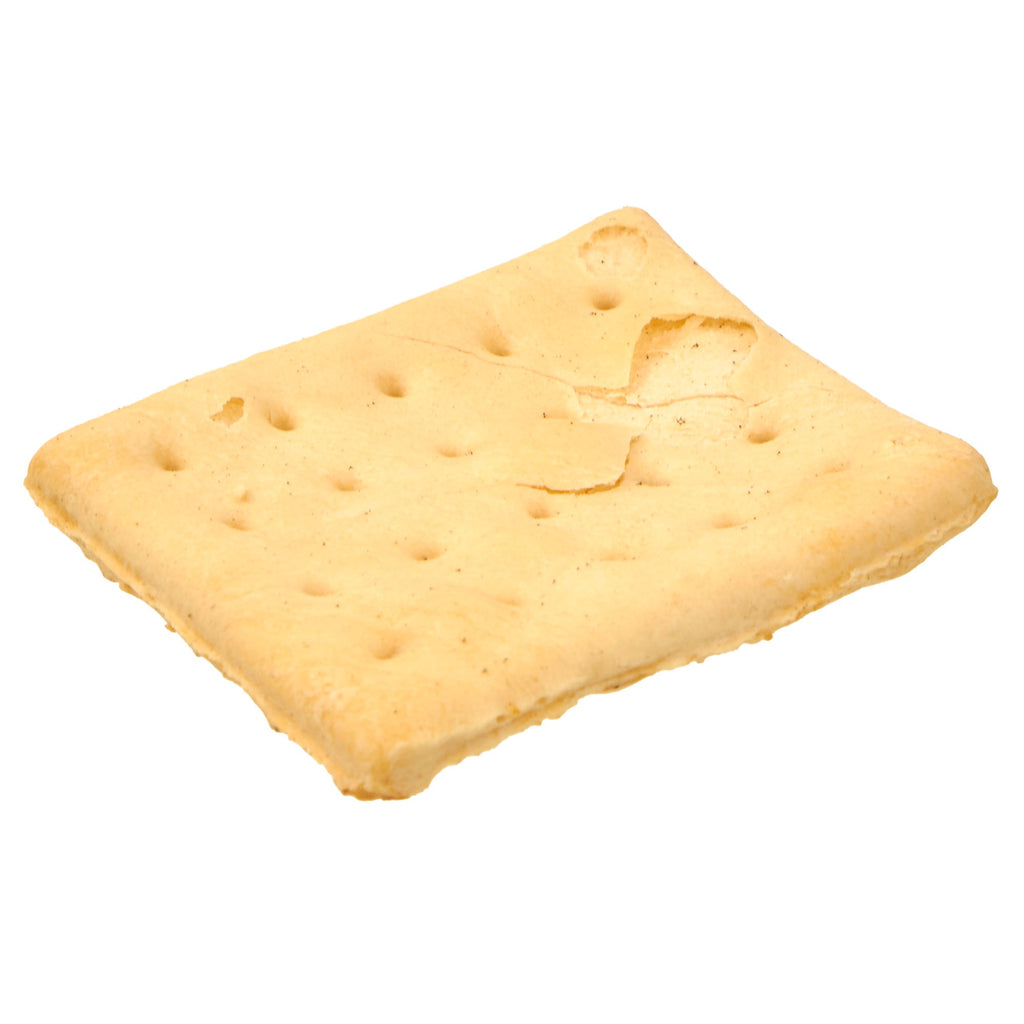 Original U.S. Civil War Piece of Hardtack in Good Condition ...