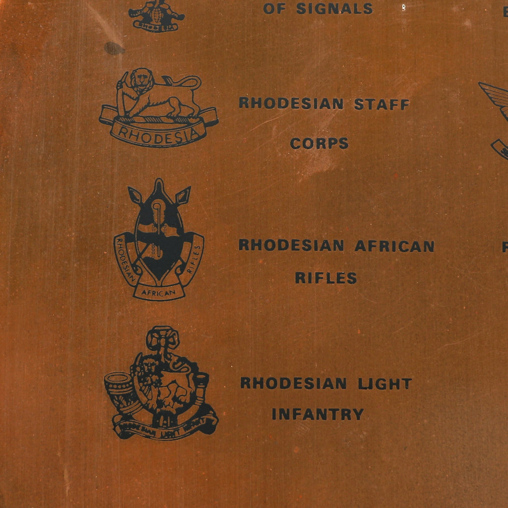 Original Rhodesian Bush War Era Cap Badge Collection in Period Case wi ...