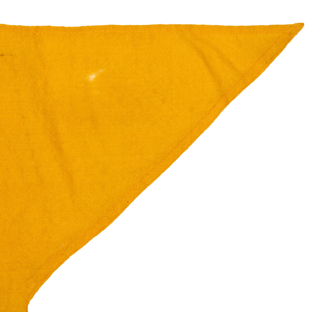 Original U.S. Vietnam War-Era 6th Armored Cavalry Regiment Swallowtail ...