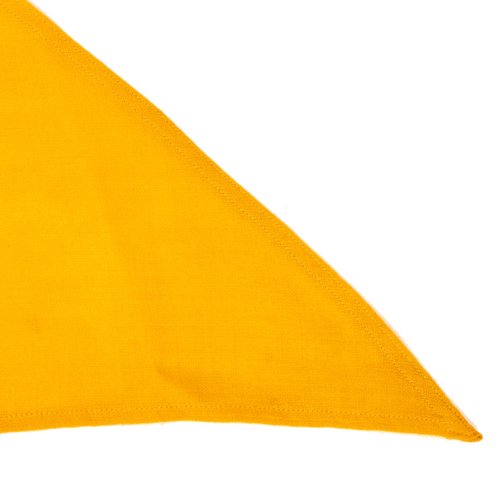 Original U.S. Vietnam War-Era 68th Armor Regiment Swallowtail Guidon ...