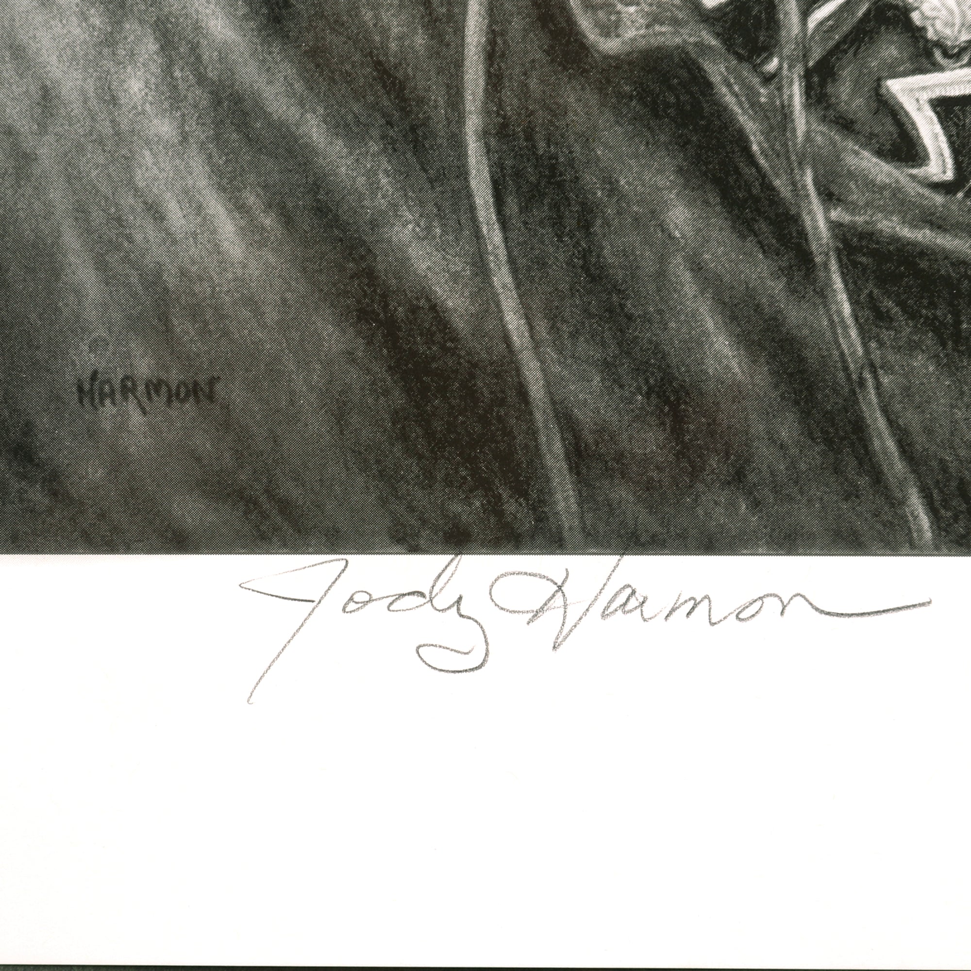 Original Signed Artist Proof of "Panzerheld" by Jody Harmon showing Ge ...
