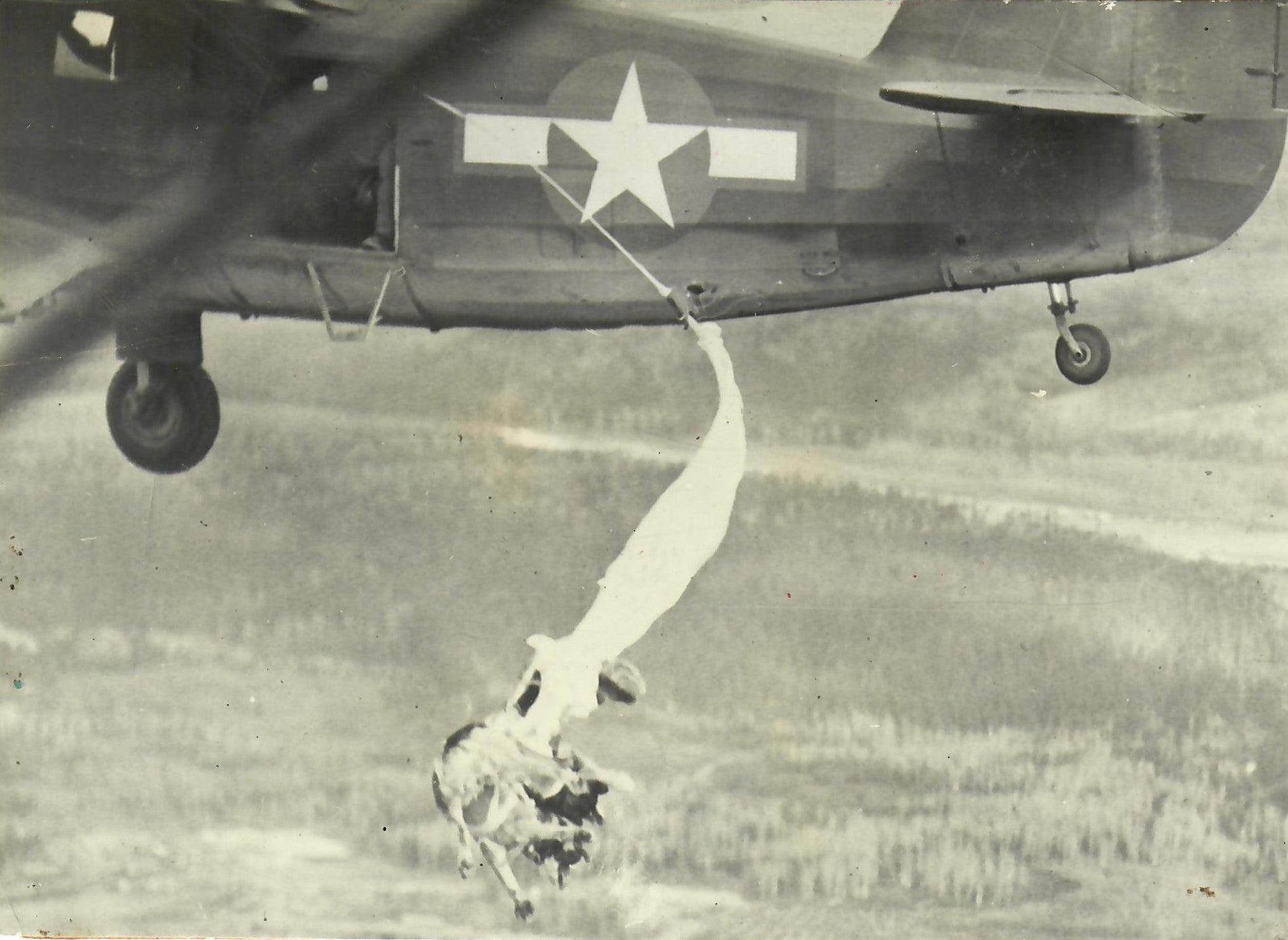 Original U.S. WWII K-9 Corps War Dog Technical Manual, Discharge Paper ...