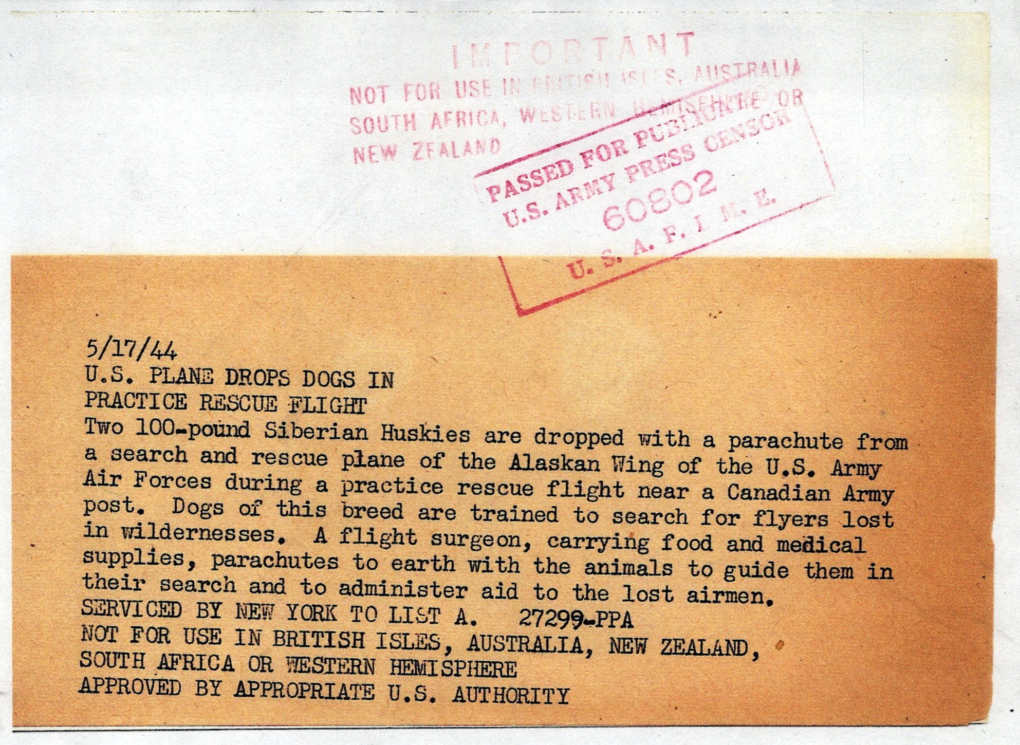 Original U.S. WWII K-9 Corps War Dog Technical Manual, Discharge Paper ...