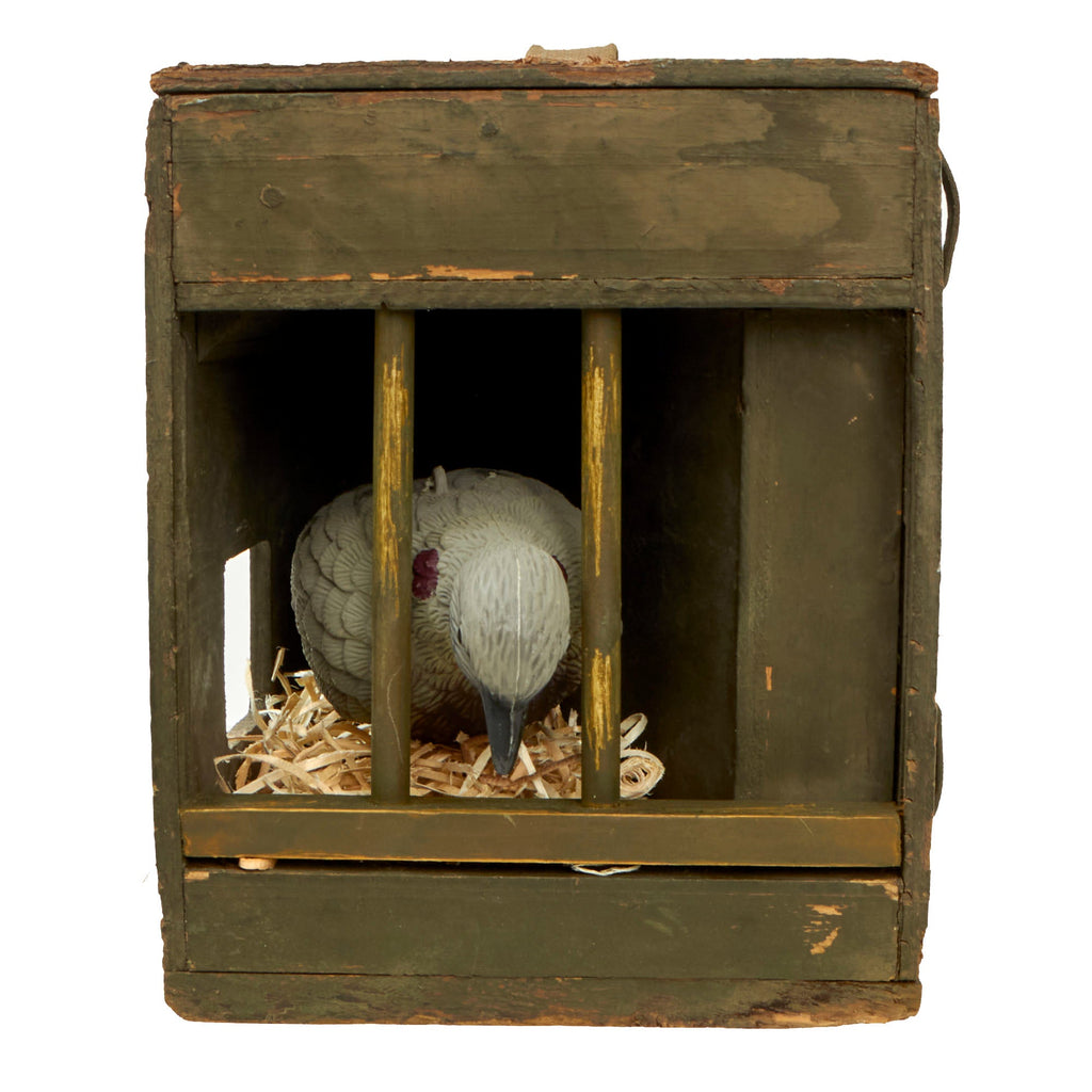 Original U.S. WWII Army Carrier Pigeon Carrier PG-102/CB with ...