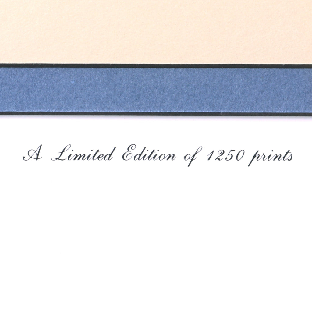 Original Signed Limited Edition Print: Framed “Ace of Aces” by Robert ...