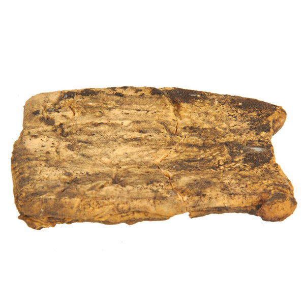 Original U.S. Civil War Union Hardtack Found In Knapsack in Virginia W ...