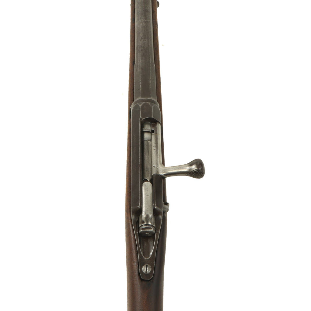 Original French Chassepot Modèle 1866/73 Rifle Centerfire Converted by ...