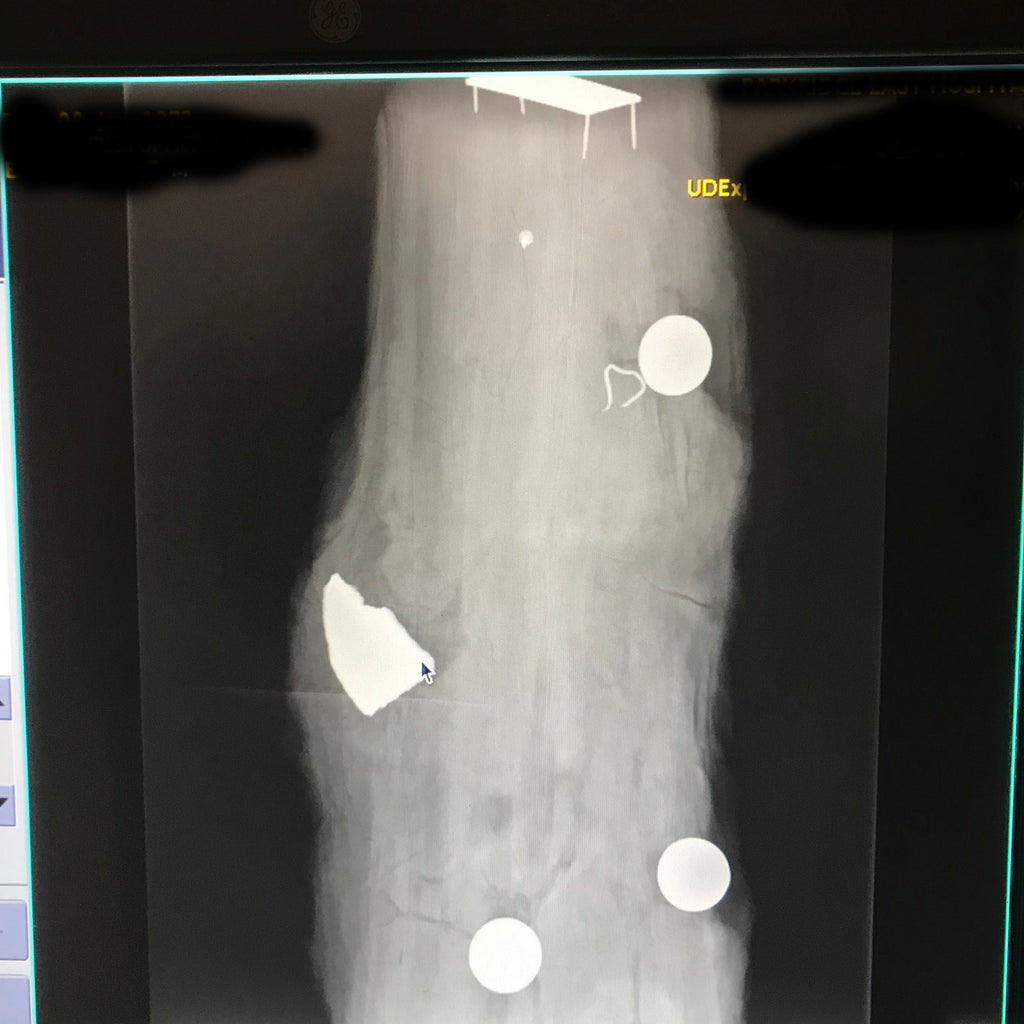 Original U.S. Civil War Battle of Gettysburg Shrapnel Stricken “War Lo ...