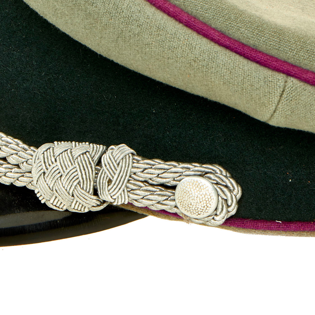 Original German WWII Dr. Heinrich Schultheis 5th Mountain Division Cha ...