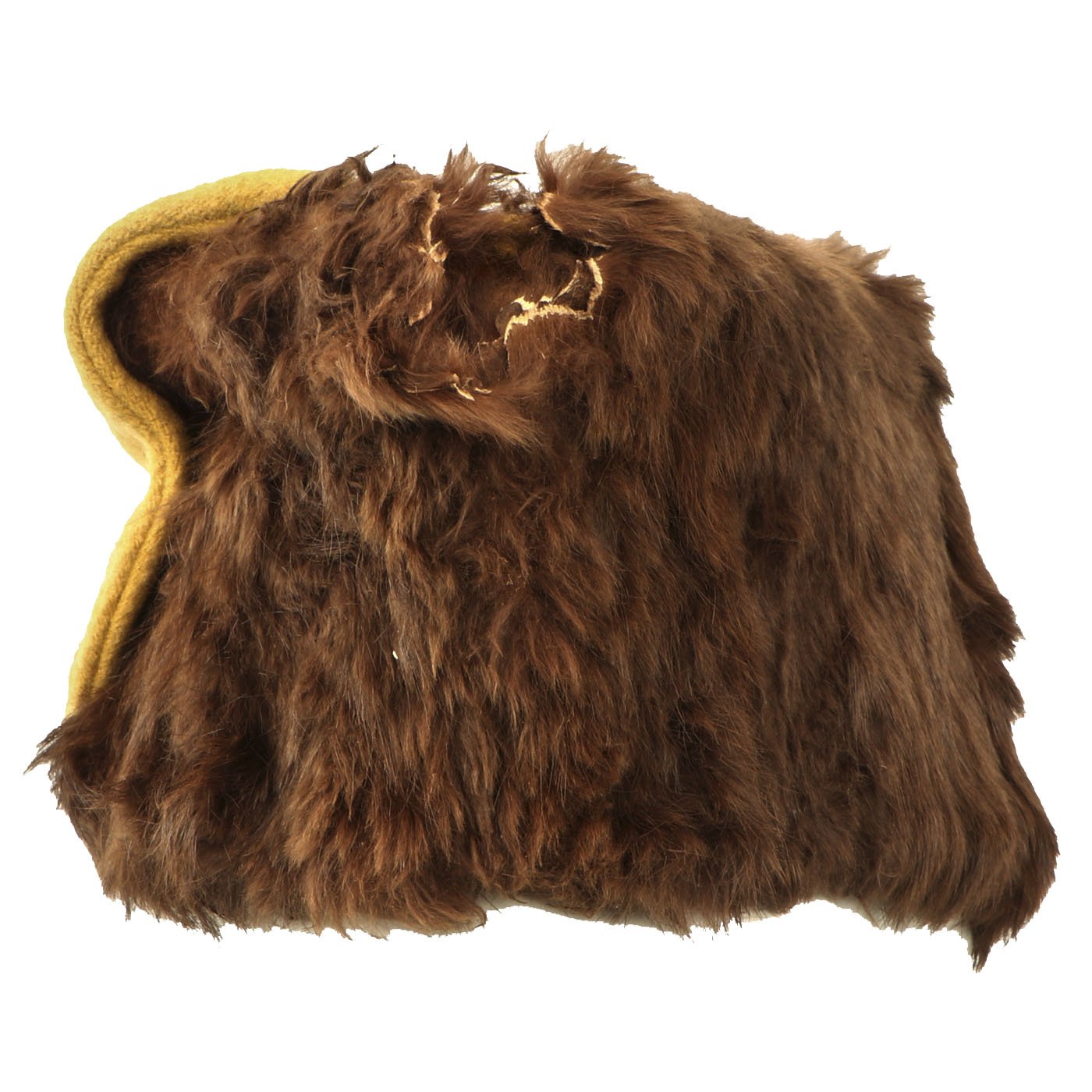 Original Canadian WWII Era Royal Canadian Dragoon Fur Busby ...