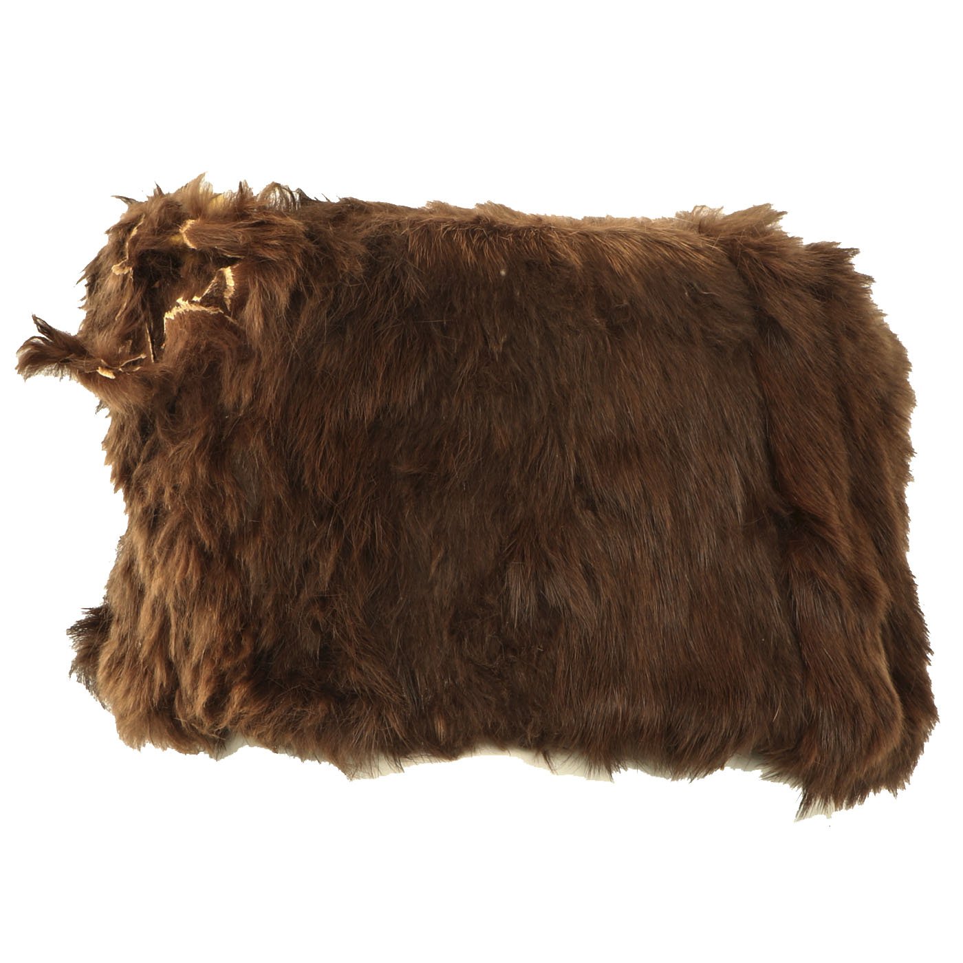 Original Canadian WWII Era Royal Canadian Dragoon Fur Busby ...