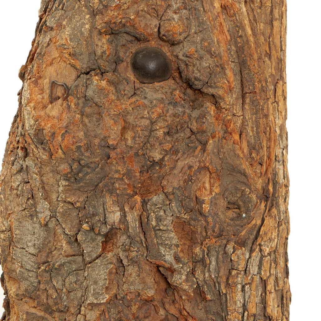 Original U.S. Civil War Battle of Gettysburg Shrapnel Stricken “War Lo ...