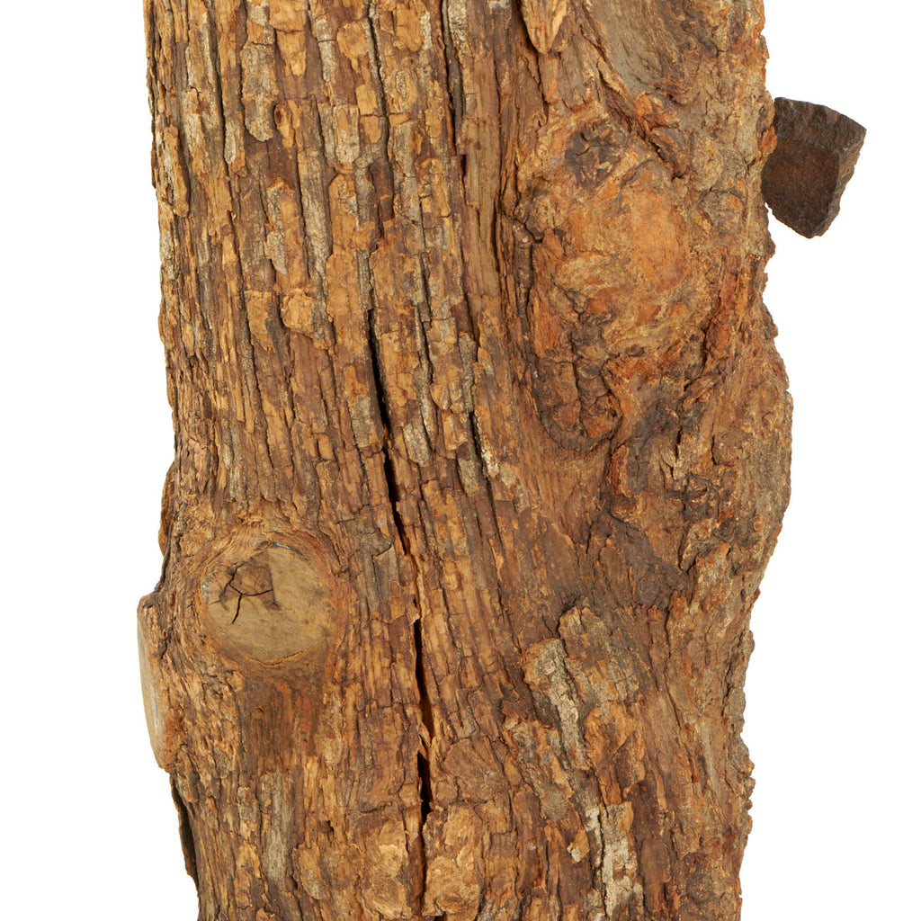 Original U.S. Civil War Battle of Gettysburg Shrapnel Stricken “War Lo ...